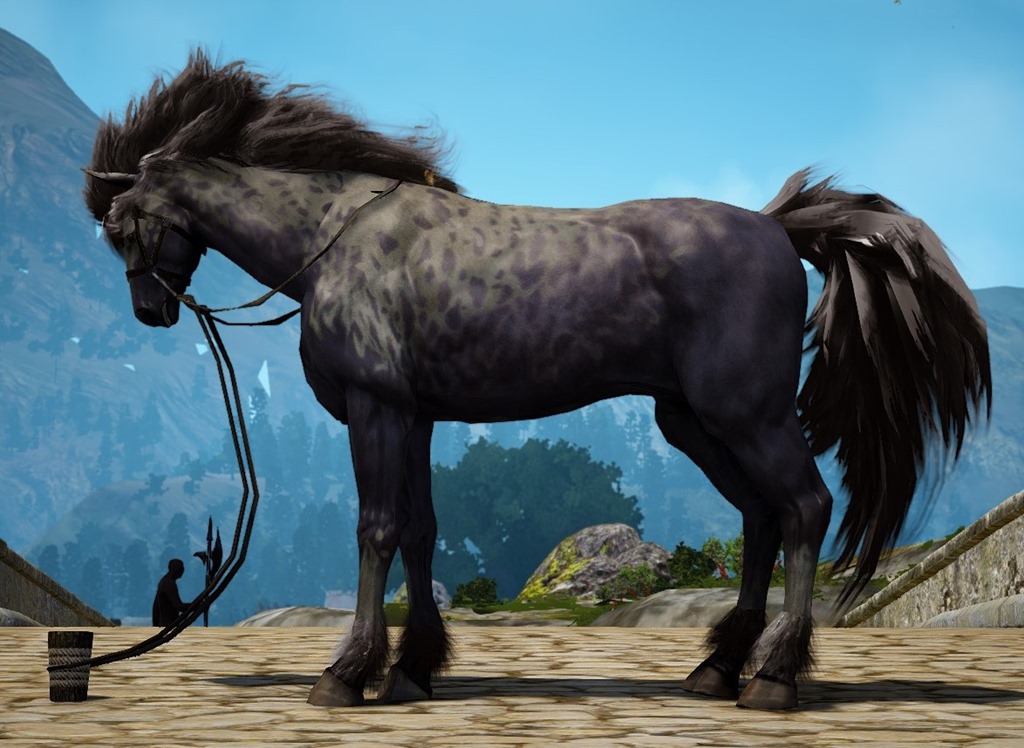 BDO Fashion | [Tier 6] Horse (Black Desert Online)