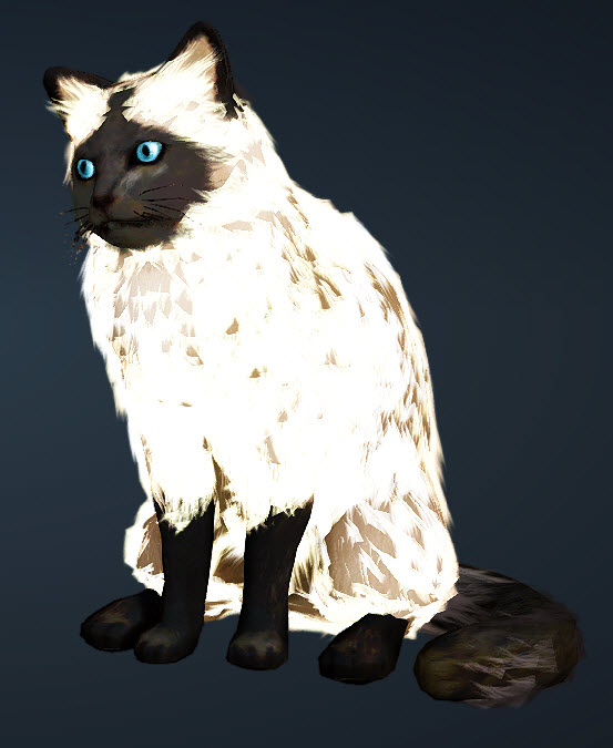 BDO Fashion | Black Mask Cat (Black Desert Online)