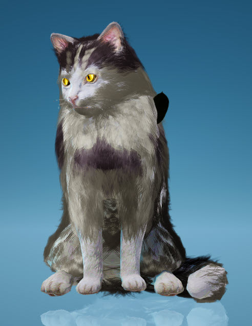 BDO Fashion | Black Mask Cat (Black Desert Online)