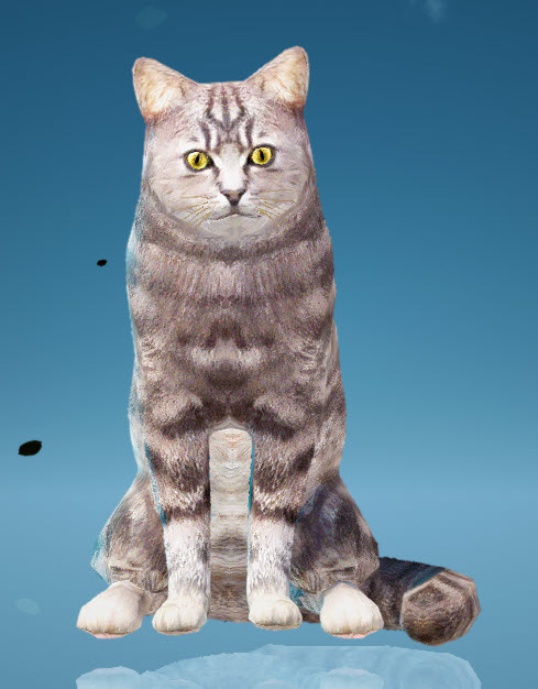 BDO Fashion | Black Mask Cat (Black Desert Online)