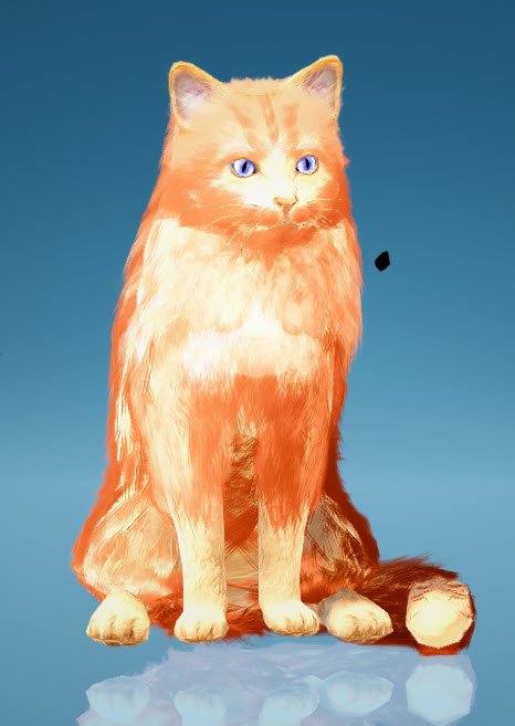 BDO Fashion | Black Mask Cat (Black Desert Online)
