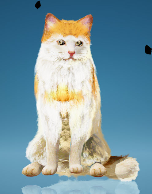 BDO Fashion | Black Mask Cat (Black Desert Online)