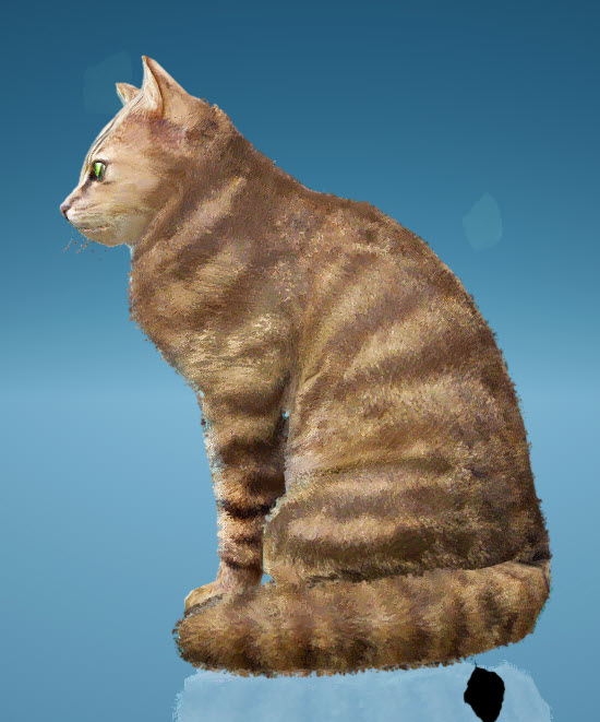 BDO Fashion | Black Mask Cat (Black Desert Online)