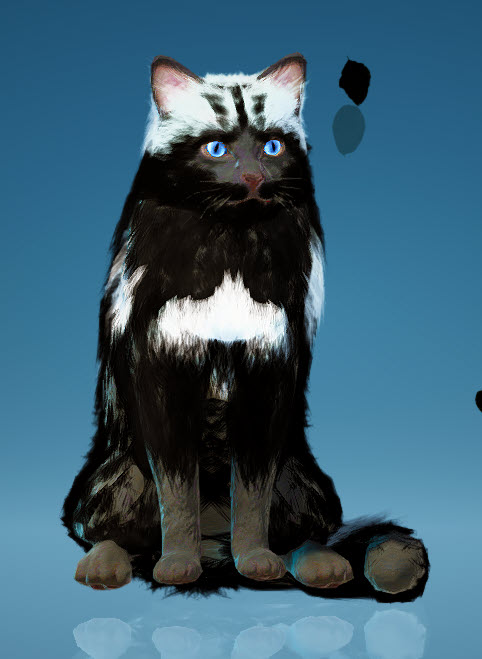 BDO Fashion | Black Mask Cat (Black Desert Online)