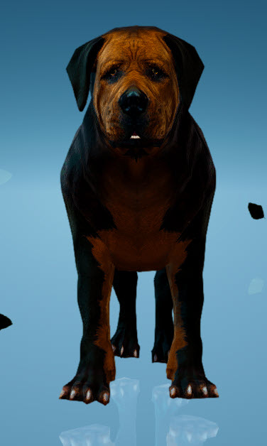 BDO Fashion | Brown Fighting Dog (Black Desert Online)