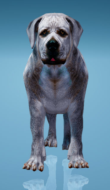 BDO Fashion | Brown Fighting Dog (Black Desert Online)