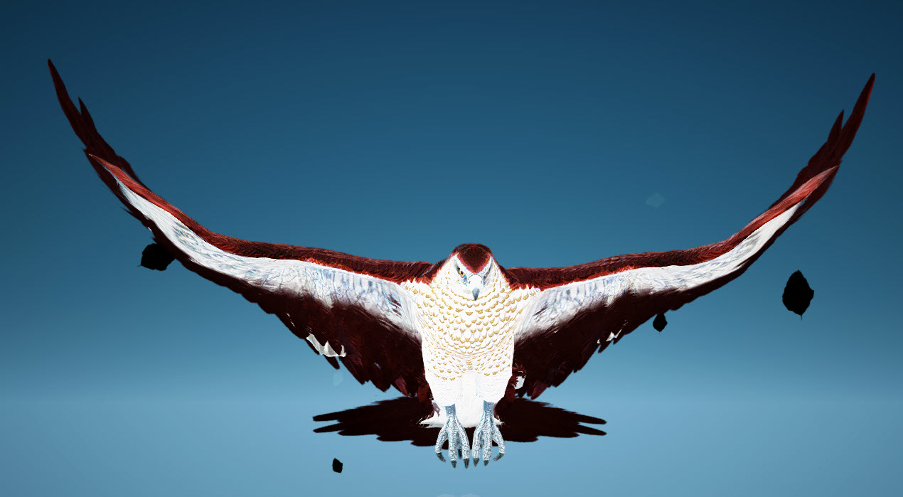 BDO Fashion | Brown Hawk Guide (Black Desert Online)