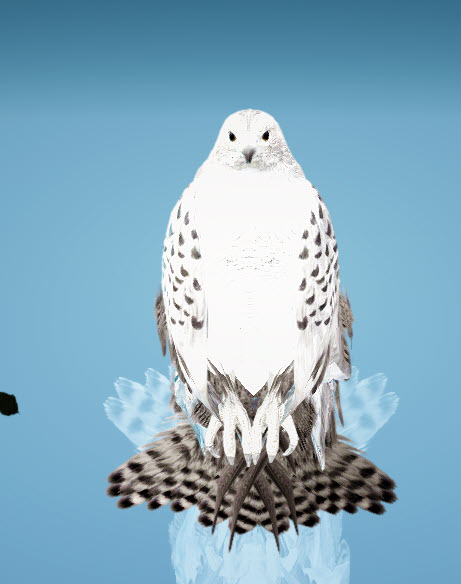 BDO Fashion | Brown Hawk Guide (Black Desert Online)