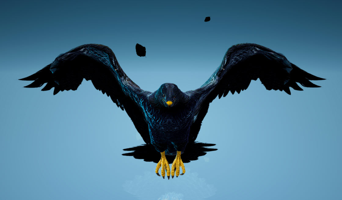 BDO Fashion | Brown Hawk Guide (Black Desert Online)