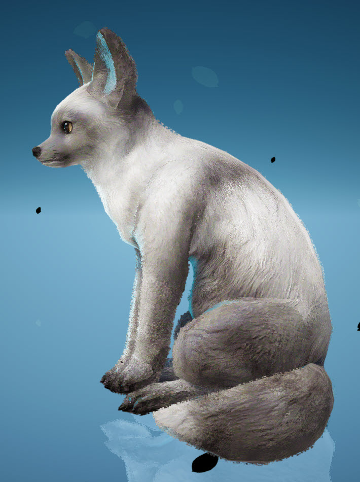 BDO Fashion | Desert Fox (Black Desert Online)