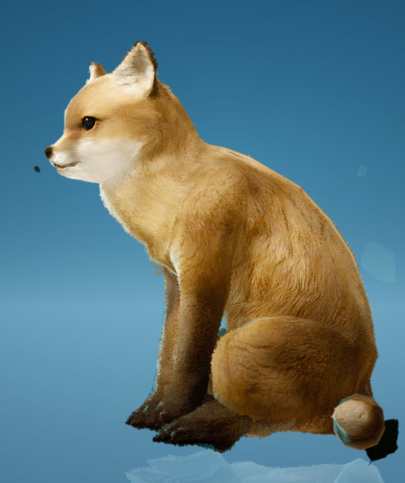 BDO Fashion | Desert Fox (Black Desert Online)