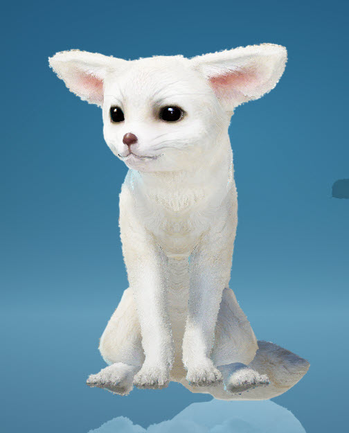 BDO Fashion | Desert Fox (Black Desert Online)