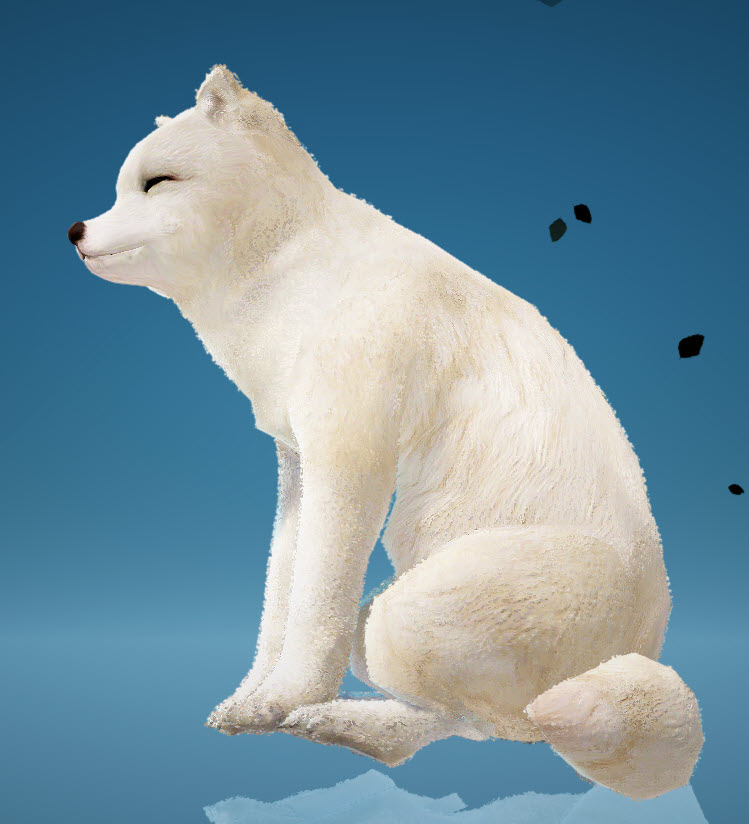 BDO Fashion | Desert Fox (Black Desert Online)