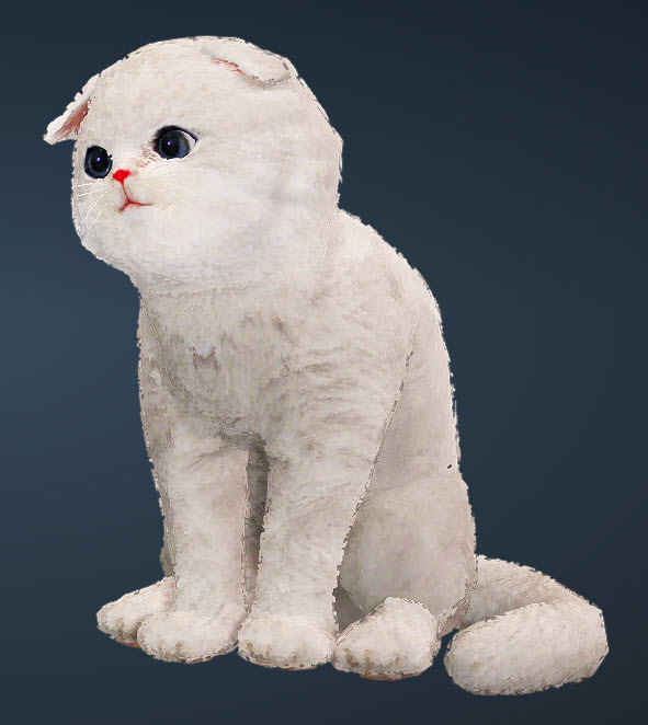 BDO Fashion | Grey Moon Cat (Black Desert Online)