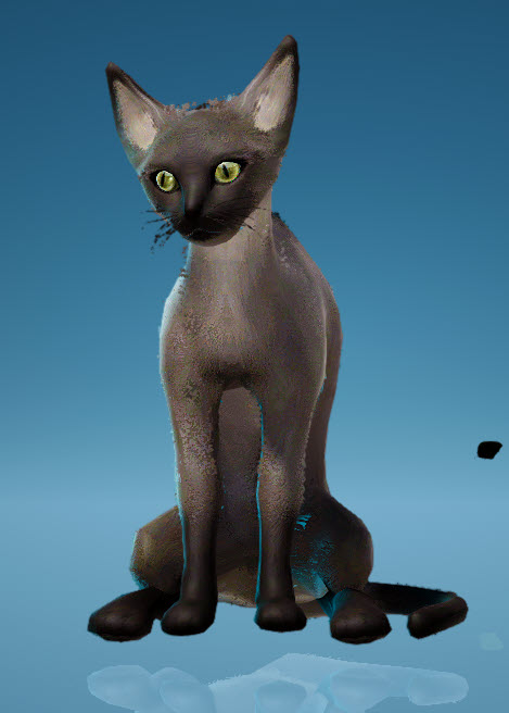 BDO Fashion | Grey Thin Cat (Black Desert Online)