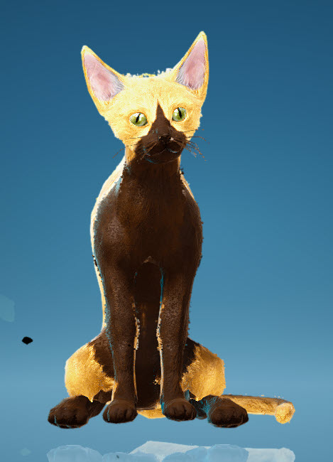 BDO Fashion | Grey Thin Cat (Black Desert Online)