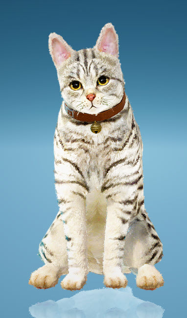 BDO Fashion | Junaid Cat (Black Desert Online)
