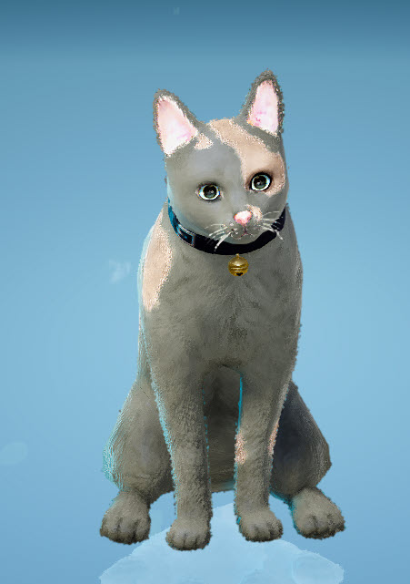 BDO Fashion | Junaid Cat (Black Desert Online)