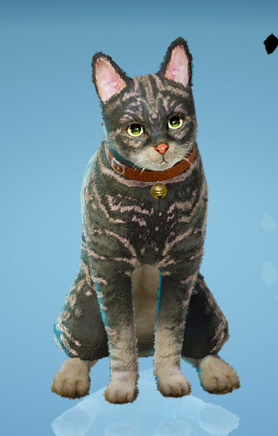 BDO Fashion | Junaid Cat (Black Desert Online)