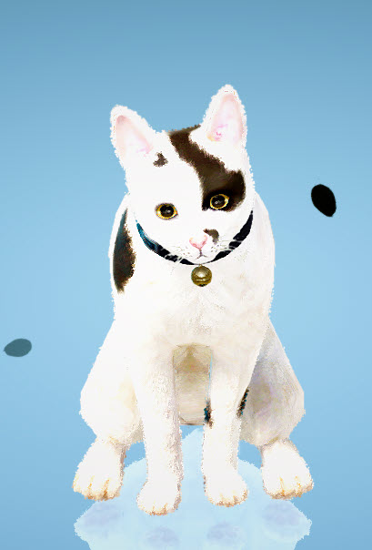BDO Fashion | Junaid Cat (Black Desert Online)