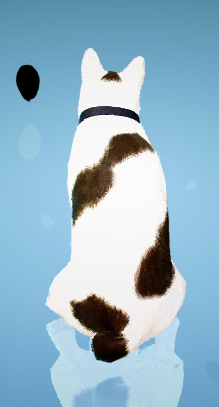 BDO Fashion | Junaid Cat (Black Desert Online)