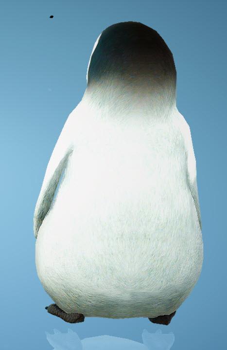 BDO Fashion | Lost Penguin (Black Desert Online)