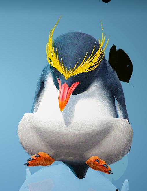 BDO Fashion | Lost Penguin (Black Desert Online)