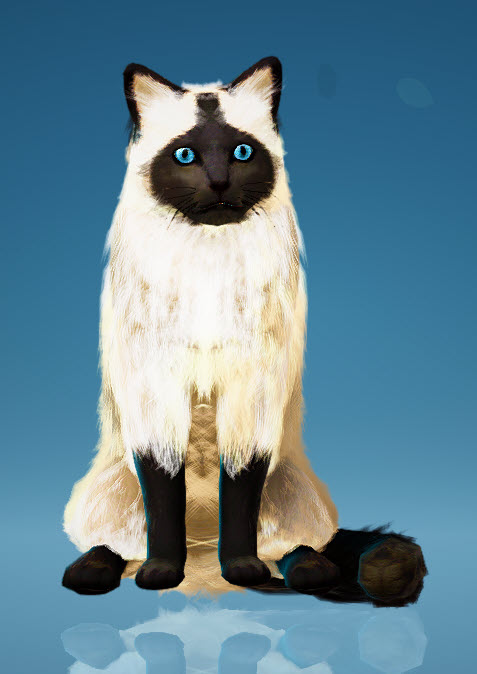 BDO Fashion | Orange Brindle Cat (Black Desert Online)