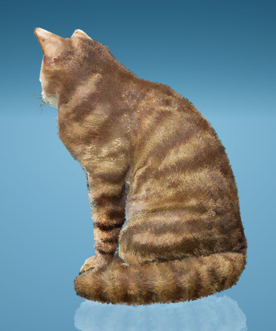BDO Fashion | Orange Brindle Cat (Black Desert Online)