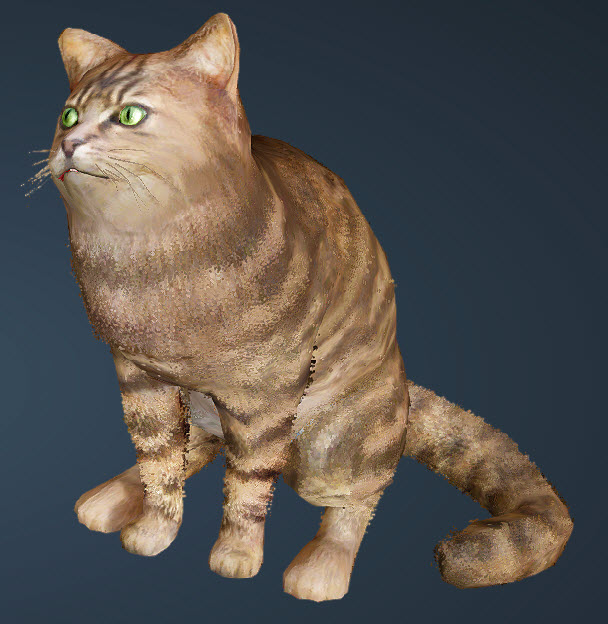 BDO Fashion | Striped Cat (Black Desert Online)