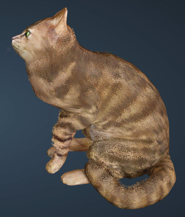 BDO Fashion | Striped Cat (Black Desert Online)