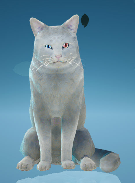 BDO Fashion | Striped Cat (Black Desert Online)