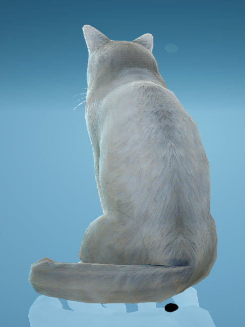 BDO Fashion | Striped Cat (Black Desert Online)