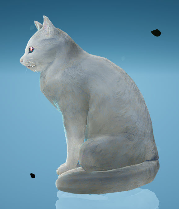 BDO Fashion | Striped Cat (Black Desert Online)