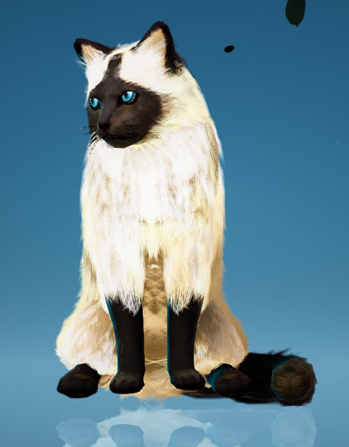 BDO Fashion | Striped Cat (Black Desert Online)
