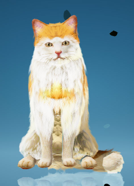 BDO Fashion | Striped Cat (Black Desert Online)
