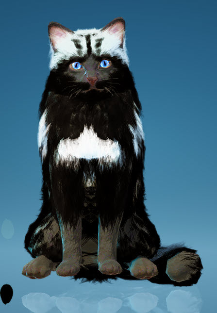 BDO Fashion | Striped Cat (Black Desert Online)