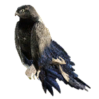 BDO Fashion | Pet Appearance Change Options (Black Desert Online)