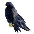 BDO Fashion | Pet Appearance Change Options (Black Desert Online)