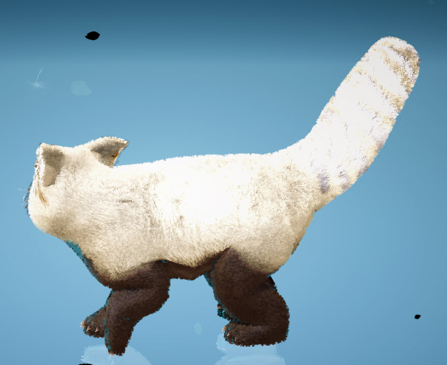 BDO Fashion | Red Panda (Black Desert Online)