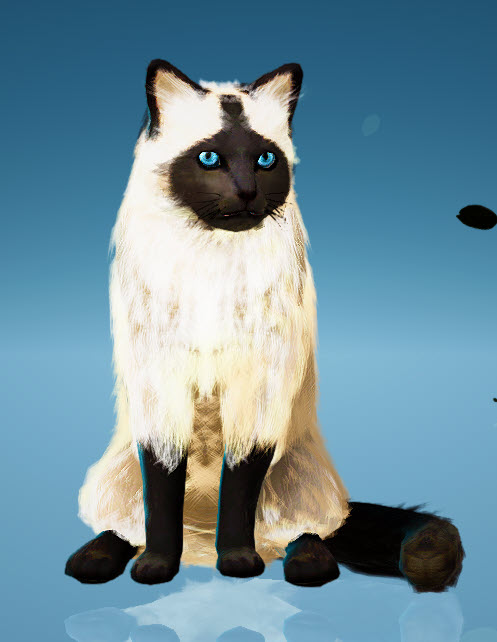 BDO Fashion | White Shorthair Cat (Black Desert Online)