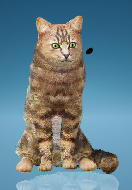 BDO Fashion | White Shorthair Cat (Black Desert Online)