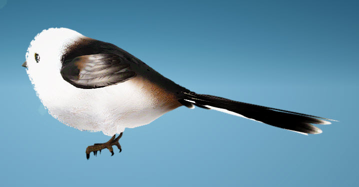 BDO Fashion | Long-tailed Rosefinch (Black Desert Online)