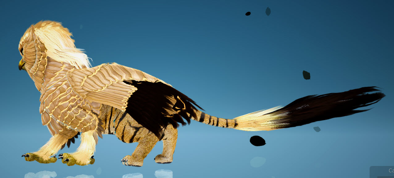 BDO Fashion | Young Griffon (Black Desert Online)