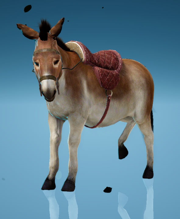 BDO Fashion | [Donkey] Clip-Clop Gear (Black Desert Online)