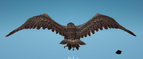 BDO Fashion | Emperor Hawk (Black Desert Online)