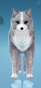 BDO Fashion | Arctic Fox (Black Desert Online)