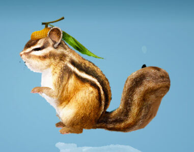 BDO Fashion | Phoniel Squirrel (Black Desert Online)