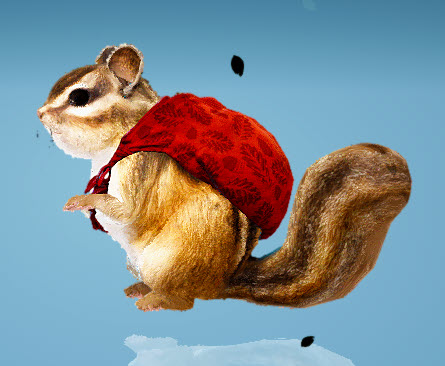 BDO Fashion | Phoniel Squirrel (Black Desert Online)