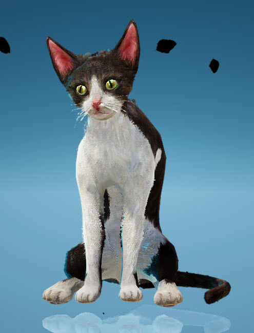 BDO Fashion | Piebald Cat (Black Desert Online)